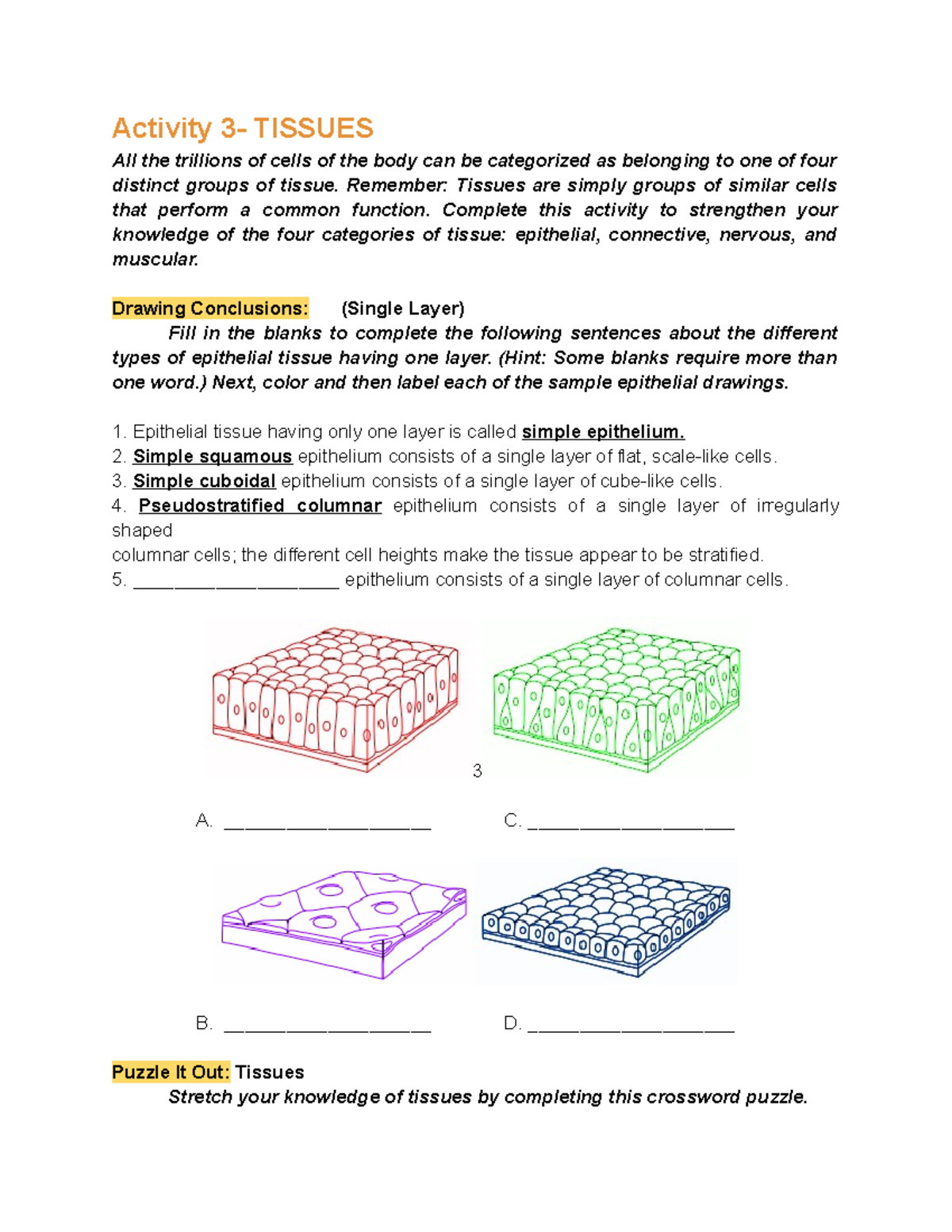 Mohamadi Pangambayan - Activity 3- Tissues - Activity 3- TISSUES All ...