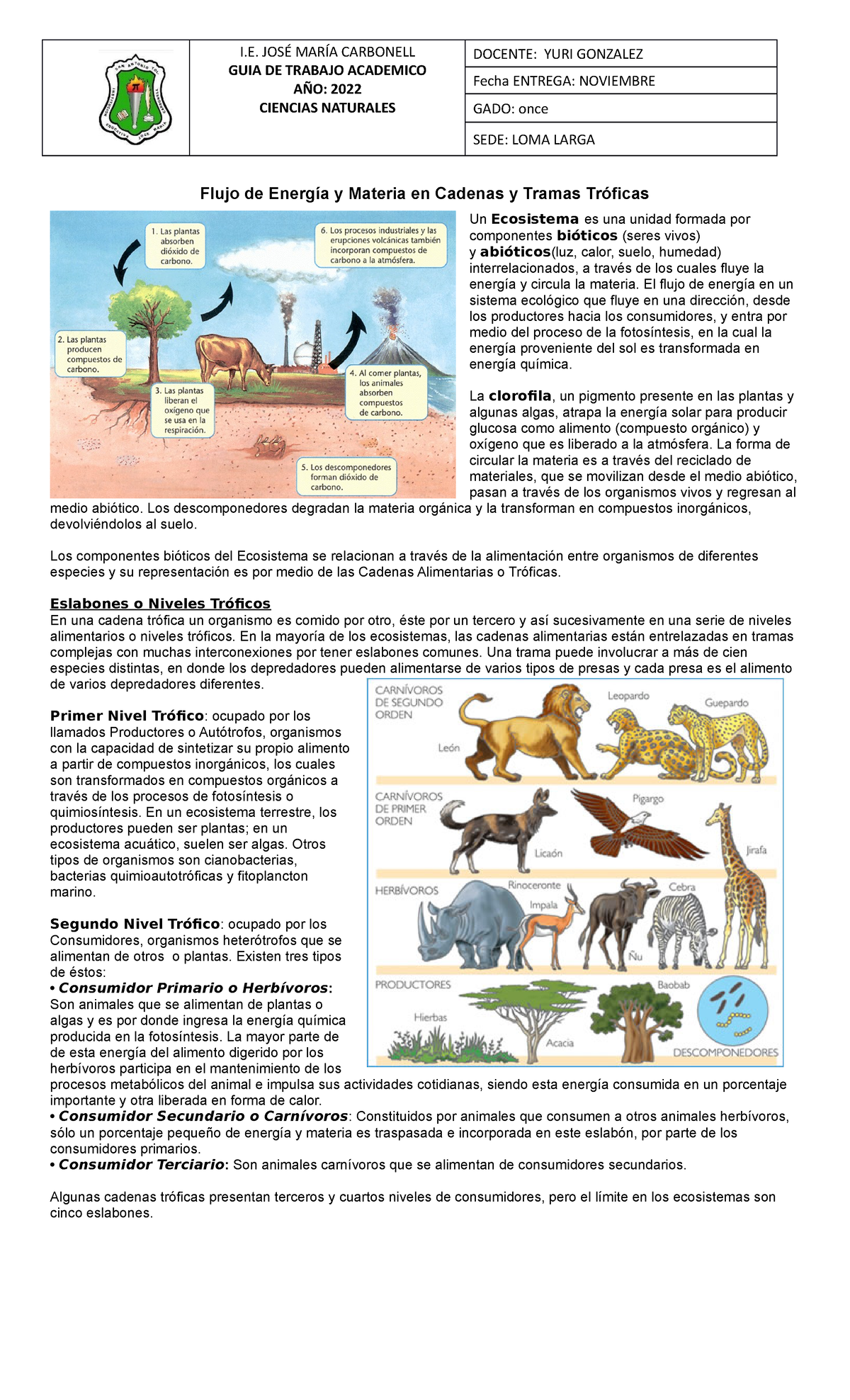 Flujo de Energía y Materia en Cadenas y Tramas Tróficas taller - I ...