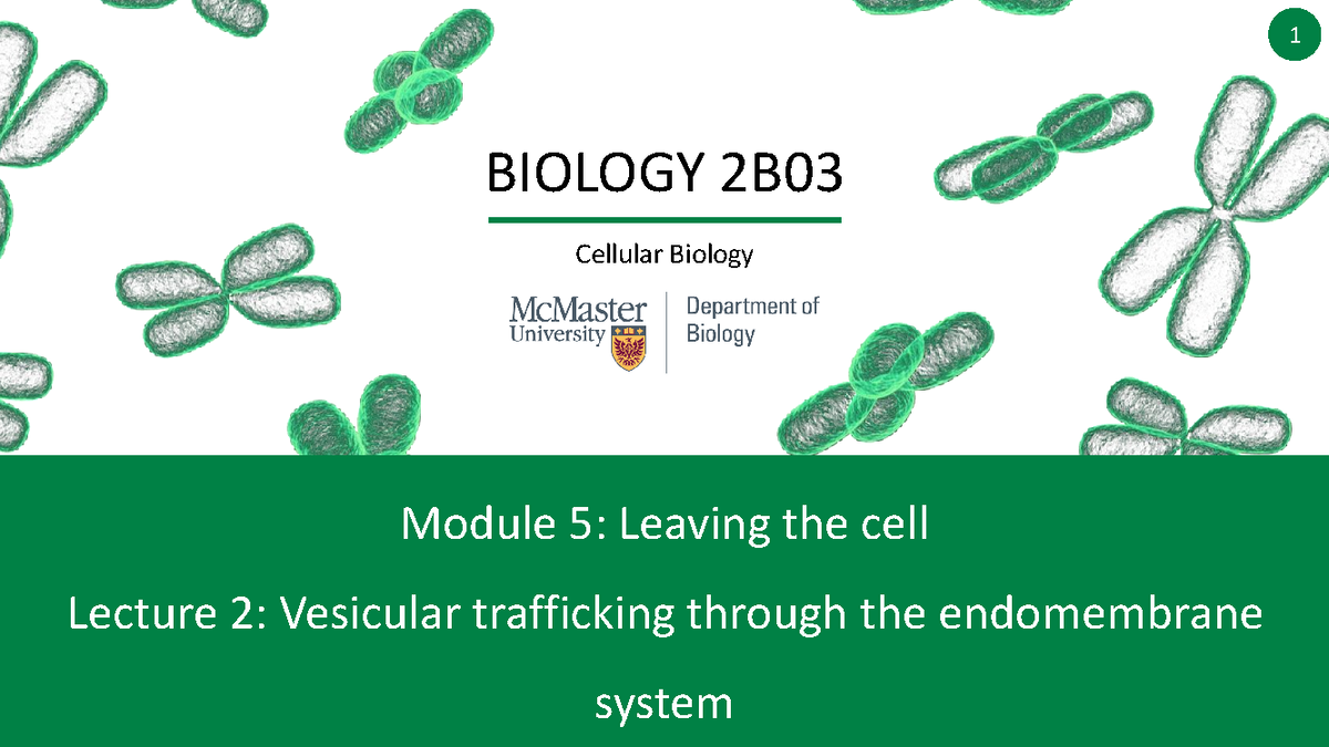 Bio 2b03 Module 5 Lecture 2 Slides Biology 2b Cellular Biology Module 5 Leaving The Cell