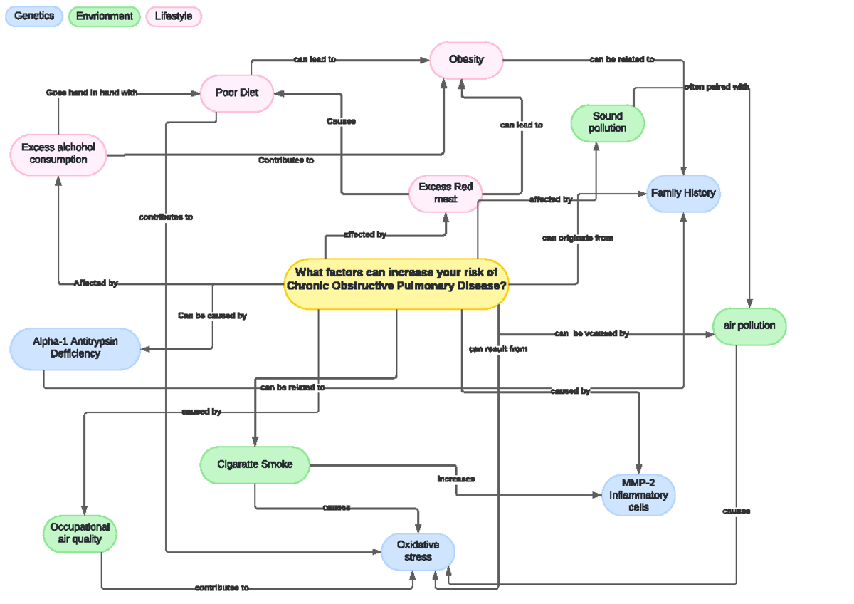 Integrative Thinking Assignment Chart - What factors can increase your risk of Chronic ...