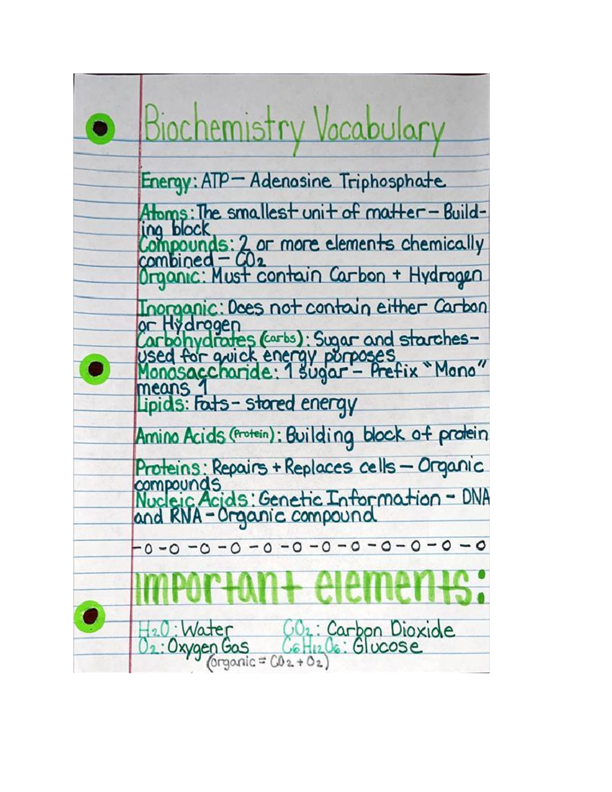 Biochemistry Review - Studocu