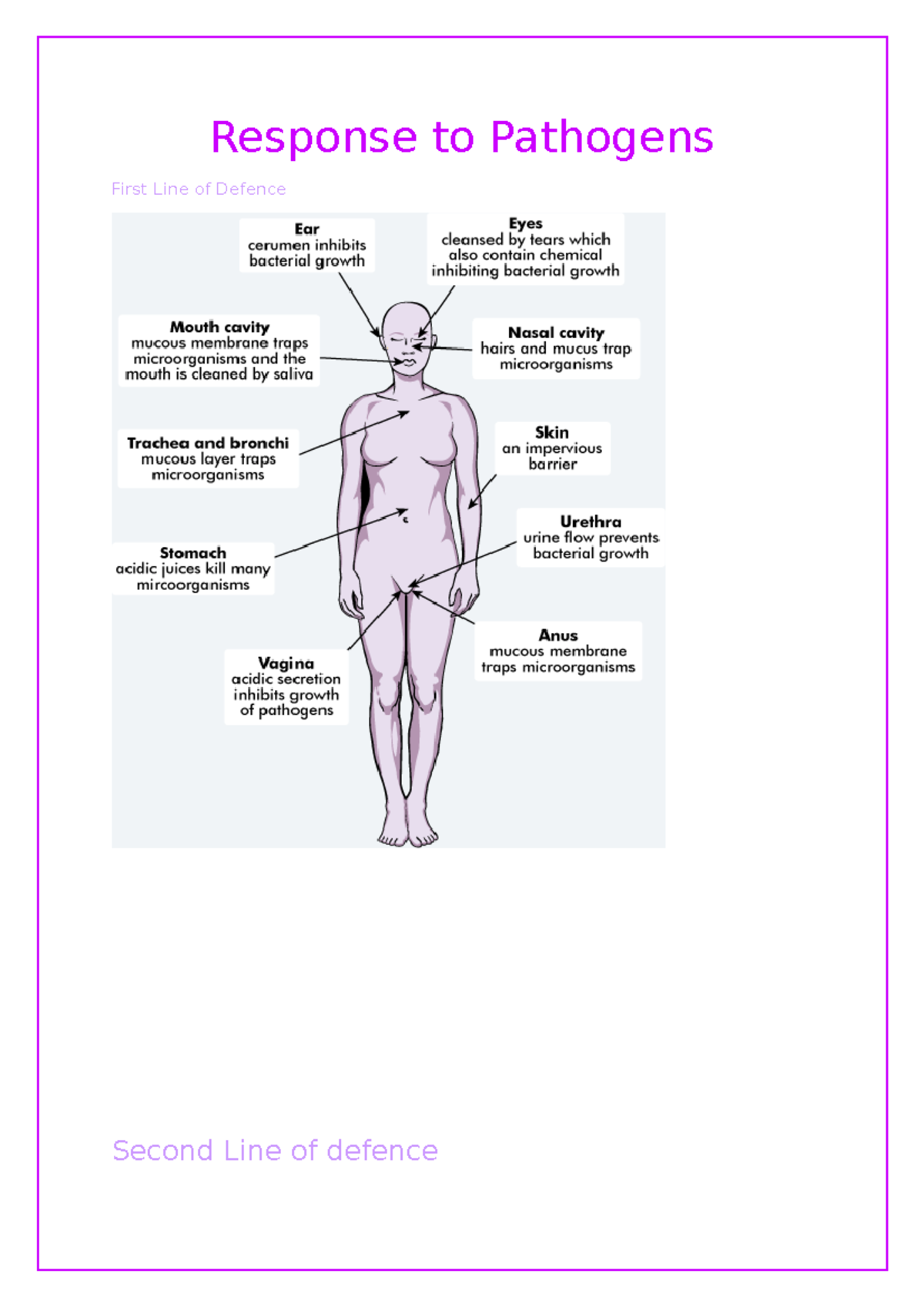 Response to Pathogens mod7 - Response to Pathogens First Line of ...