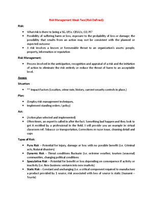 MGMT-6083 Risk Assessment Personal Risk Assignment F22 - Specifically ...