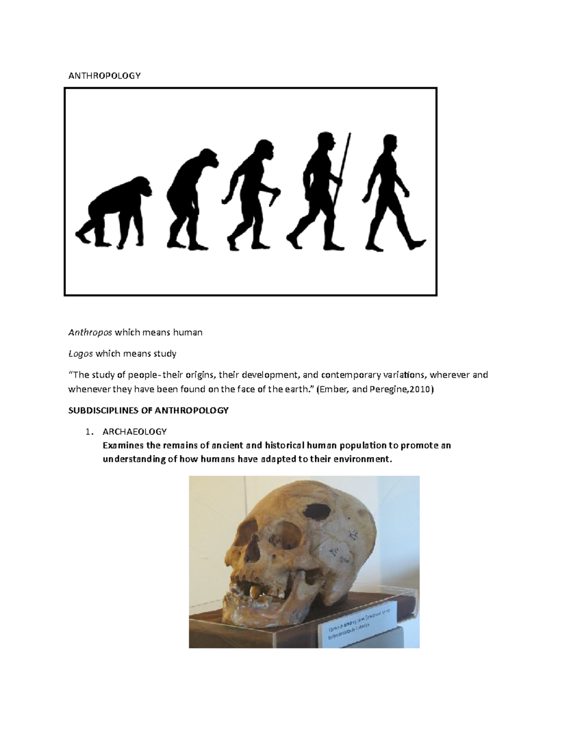 Anthropology zipora - lecture for my bb - ANTHROPOLOGY Anthropos which ...