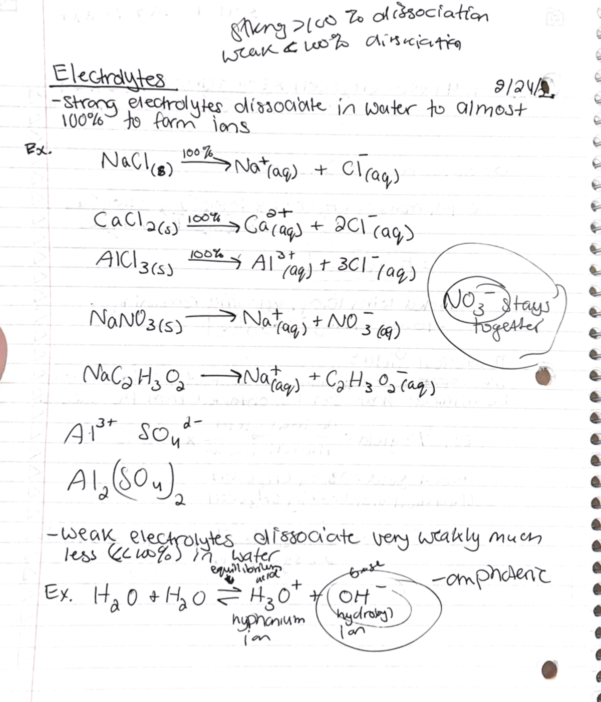 Electrolytes, solubility rules, and reactions - CHE 110 - Studocu