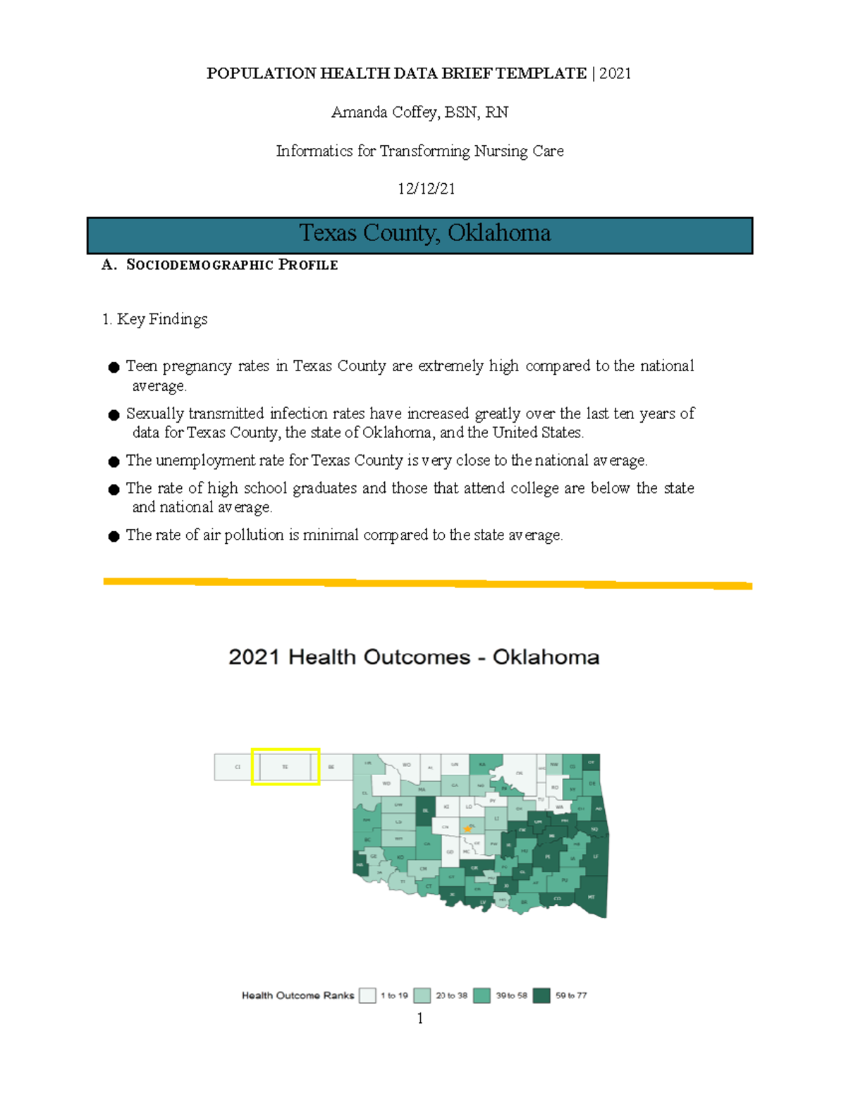Population Health Data Brief-D029 - POPULATION HEALTH DATA BRIEF ...