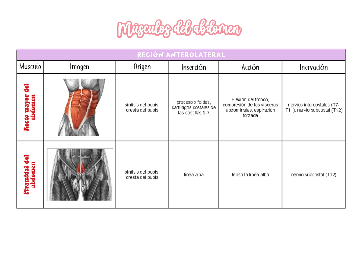 Músculos del Abdomen - Región anterolateral Musculo Imagen Origen ...