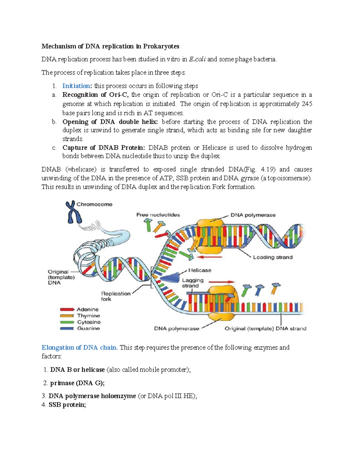 Mechanism of DNA replication in Prokary - The process of replication ...