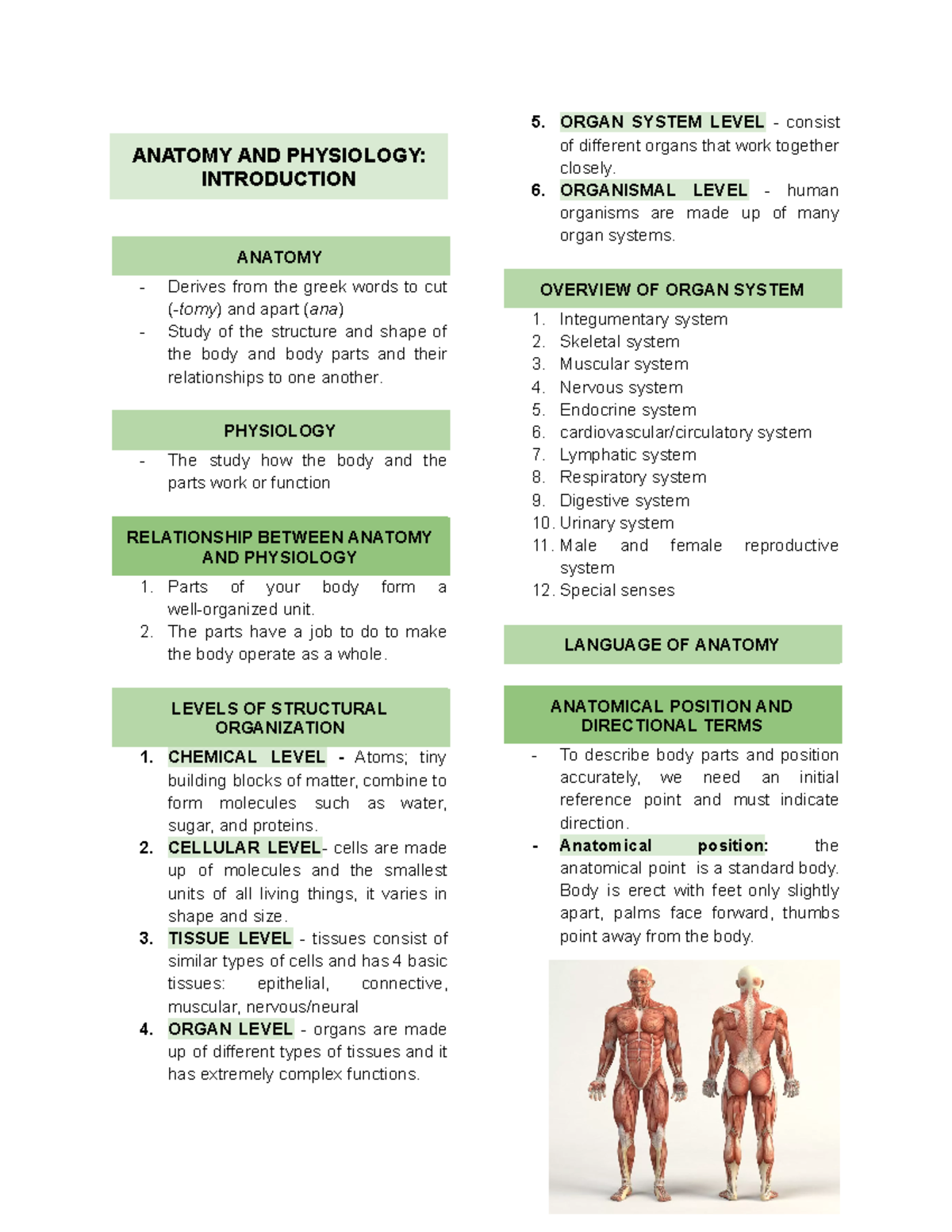INTRODUCTION TO ANAPHY - ANATOMY Derives from the greek words to cut ...