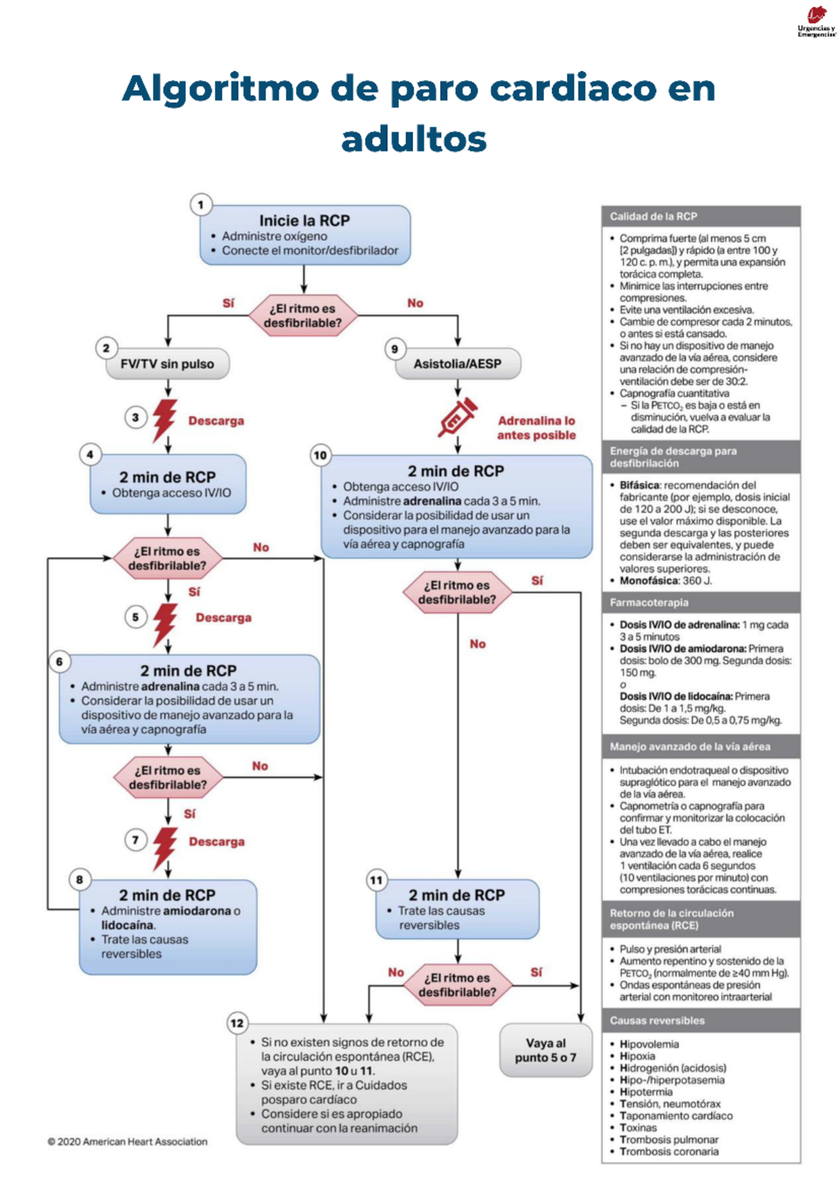 ACLS - ACLS - Urgencias y Emergencias Algoritmo de paro cardiaco en ...