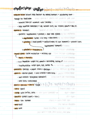 Ehr go 2 - Ehr go 2 - Knowledge Activity: Health Information ...