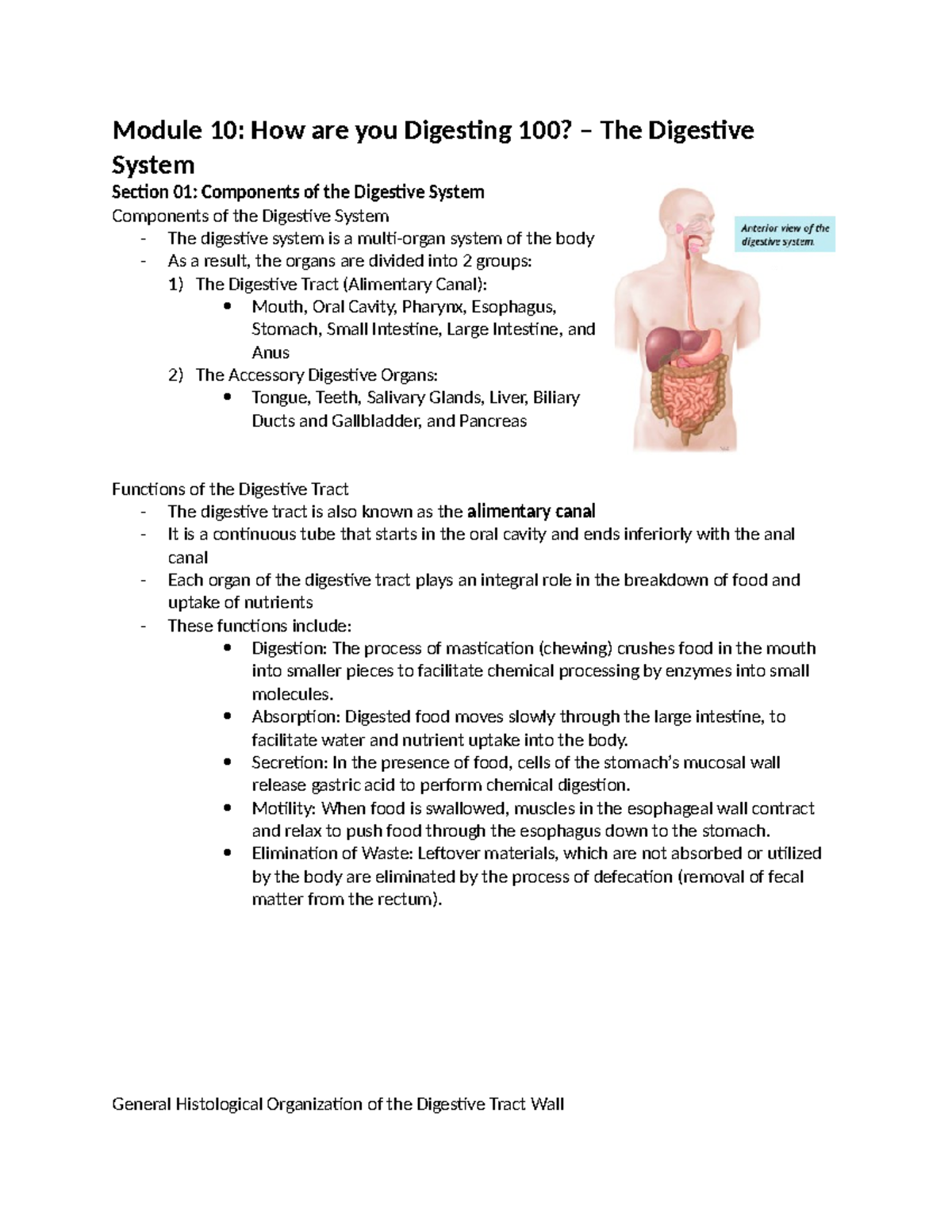 Module 10 notes - Module 10: How are you Digesting 100? – The Digestive ...