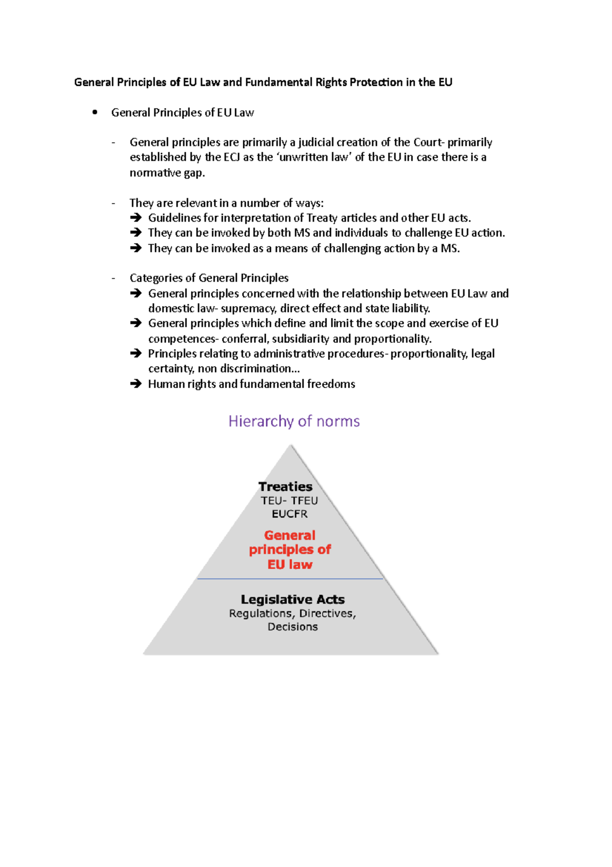 General Principles of EU Law and Fundamental Rights Protection in the ...