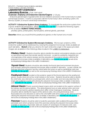 Microbiology Study Guide 3 - Deûne and understand importance of: PAMP ...