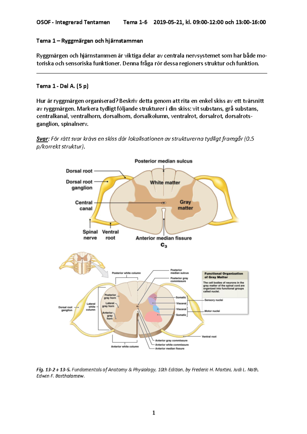 gamla tentor -osof - Warning: TT: undefined function: 32 Tema 1 ...