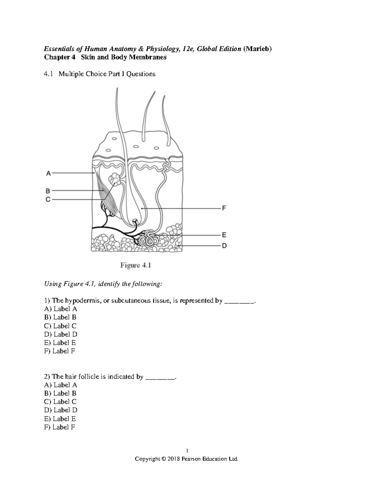 Skin and membrane revision Q&A - 1 Essentials of Human Anatomy ...