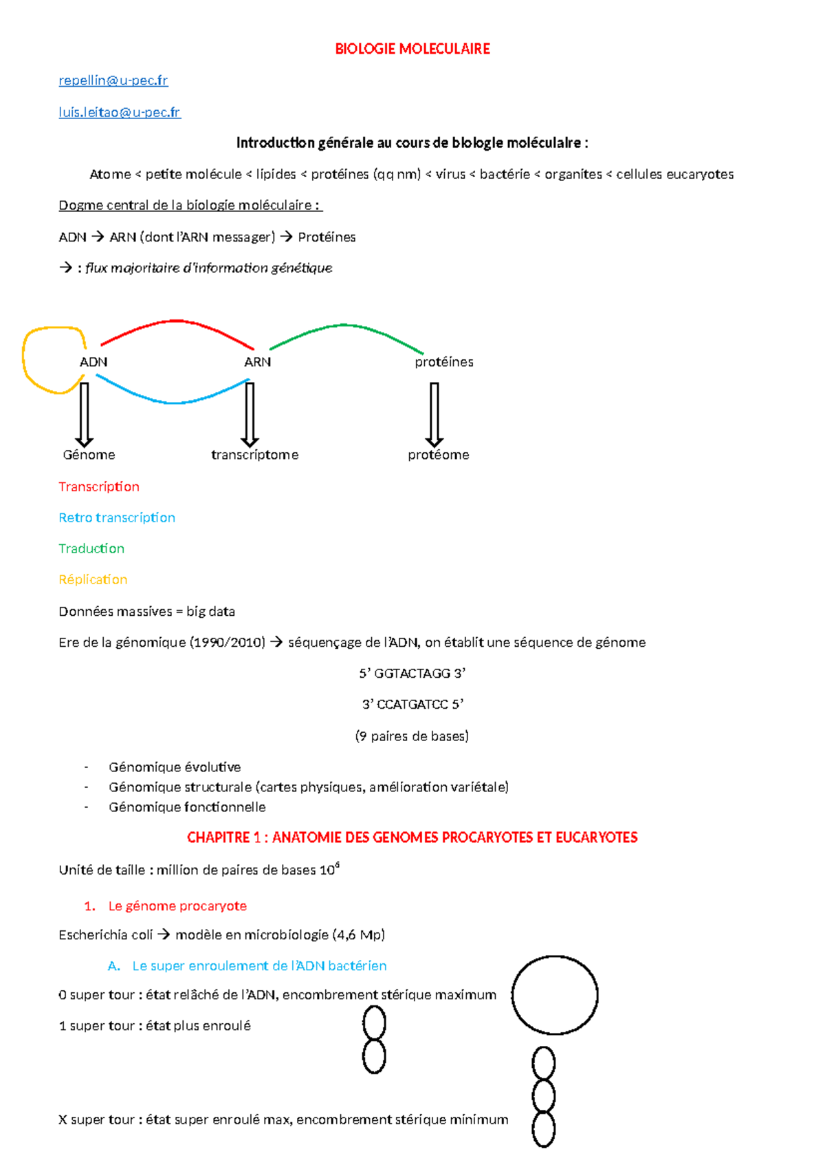 Biologie Moleculaire - BIOLOGIE MOLECULAIRE repellin@u-pec luis@u-pec ...
