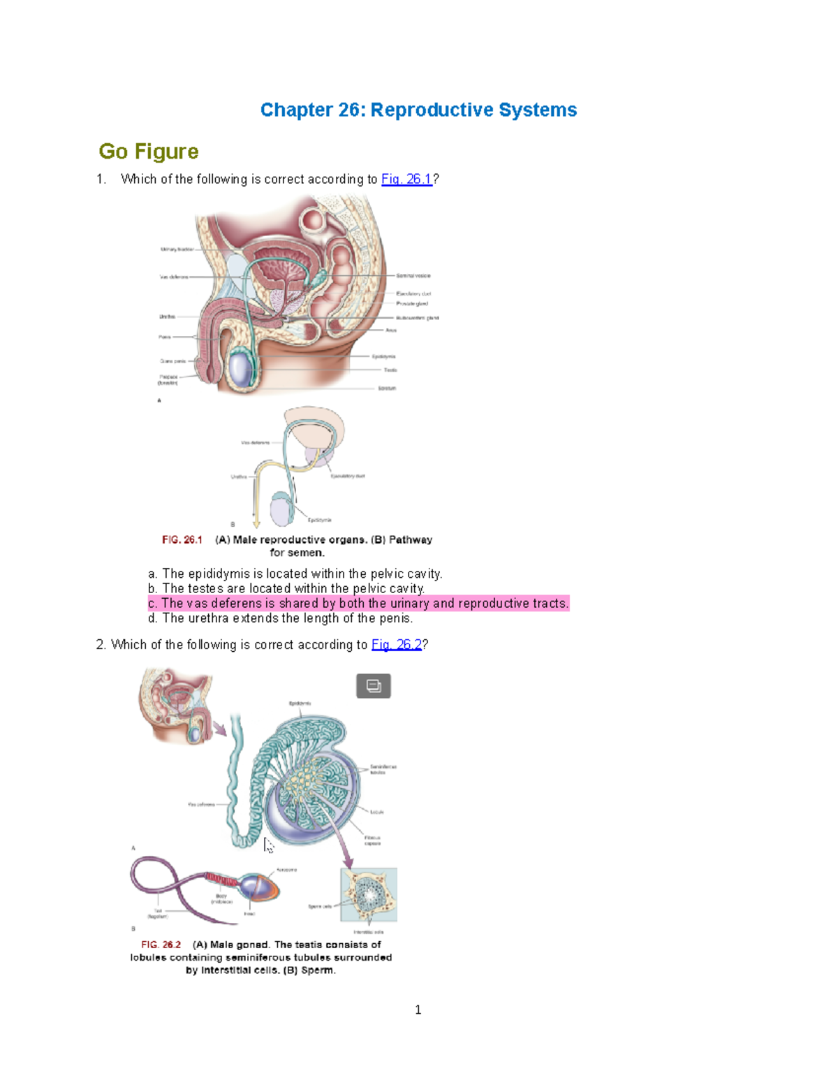 AHP106 Wk6 Assignment - practice - Chapter 26: Reproductive Systems Go ...