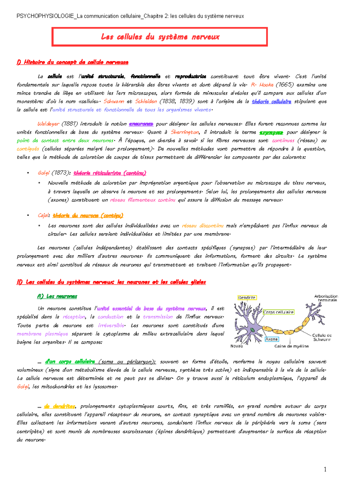 Communication cellulaire C2 les cellules du système nerveux ...