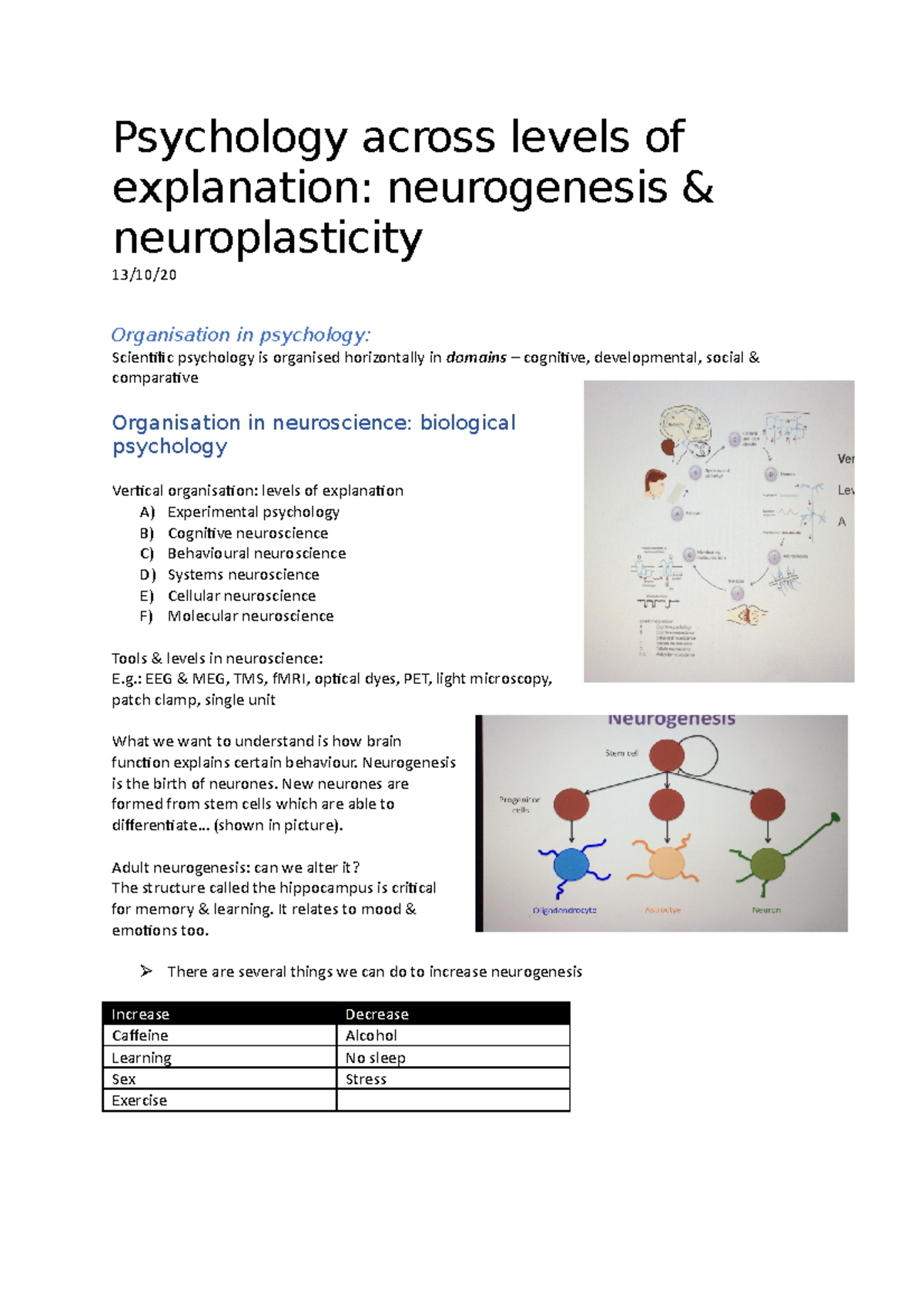 Neurogenesis & neuroplasticity 13th oct - Psychology across levels of ...