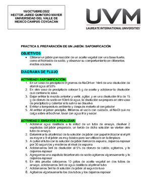 Reporte Previo Practica 3 - PRACTICA 3. PROPIOEDADES FISICAS Y QUIMICAS ...