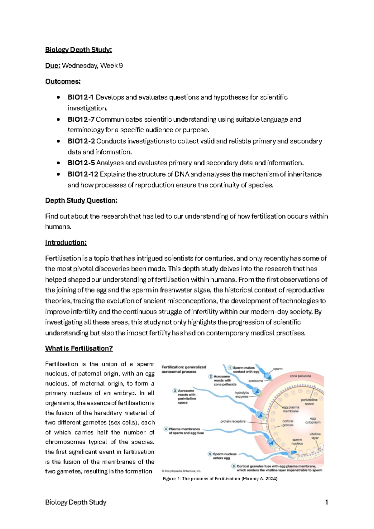 Bio Depth Study Final - Biology Depth Study: Due: Wednesday, Week 9 ...