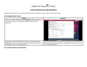 CYB 250 Stepping Stone One - Hacktivist Guardians of the Peace (GOD ...