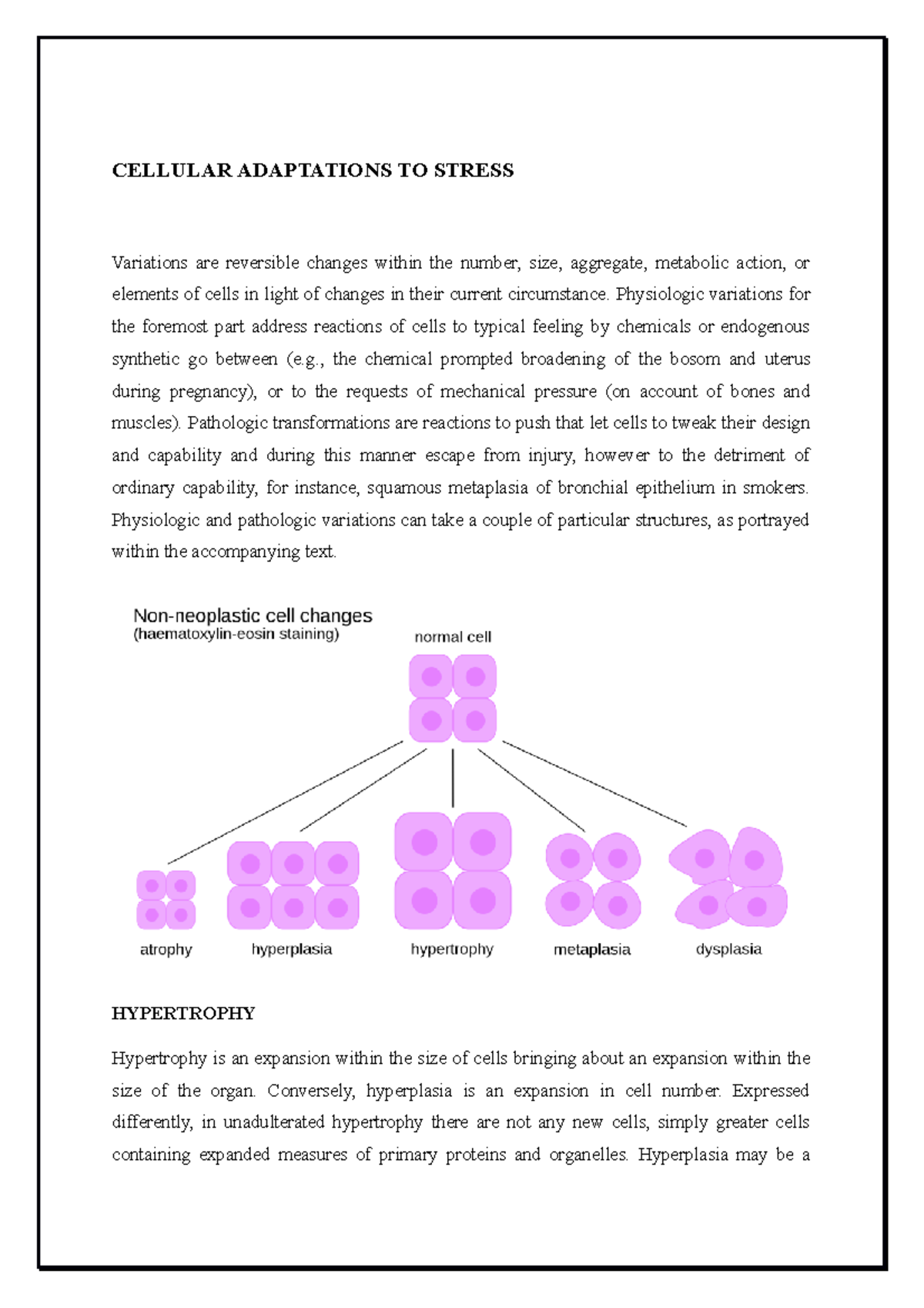 Cellular Adaptations TO Stress - CELLULAR ADAPTATIONS TO STRESS ...