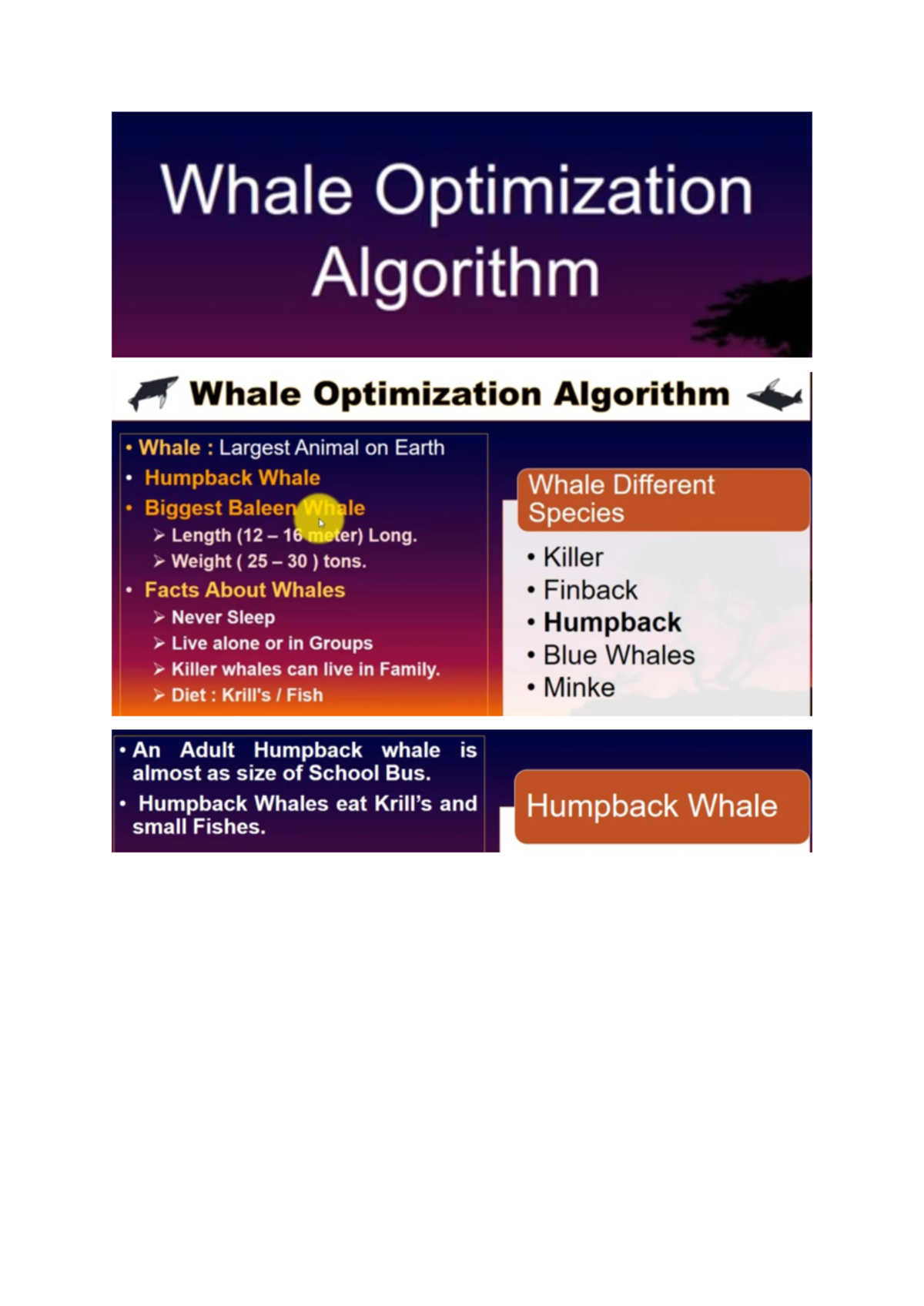 INT254 ML Unit - 6 L - 5 Whale Search Algorithm (@rajkumar) - Whale ...