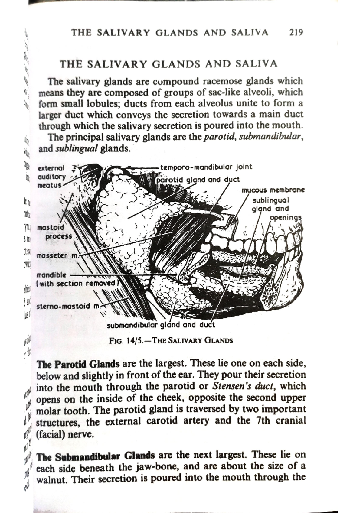 Salivary glands and saliva - Diploma in health inspector - Studocu