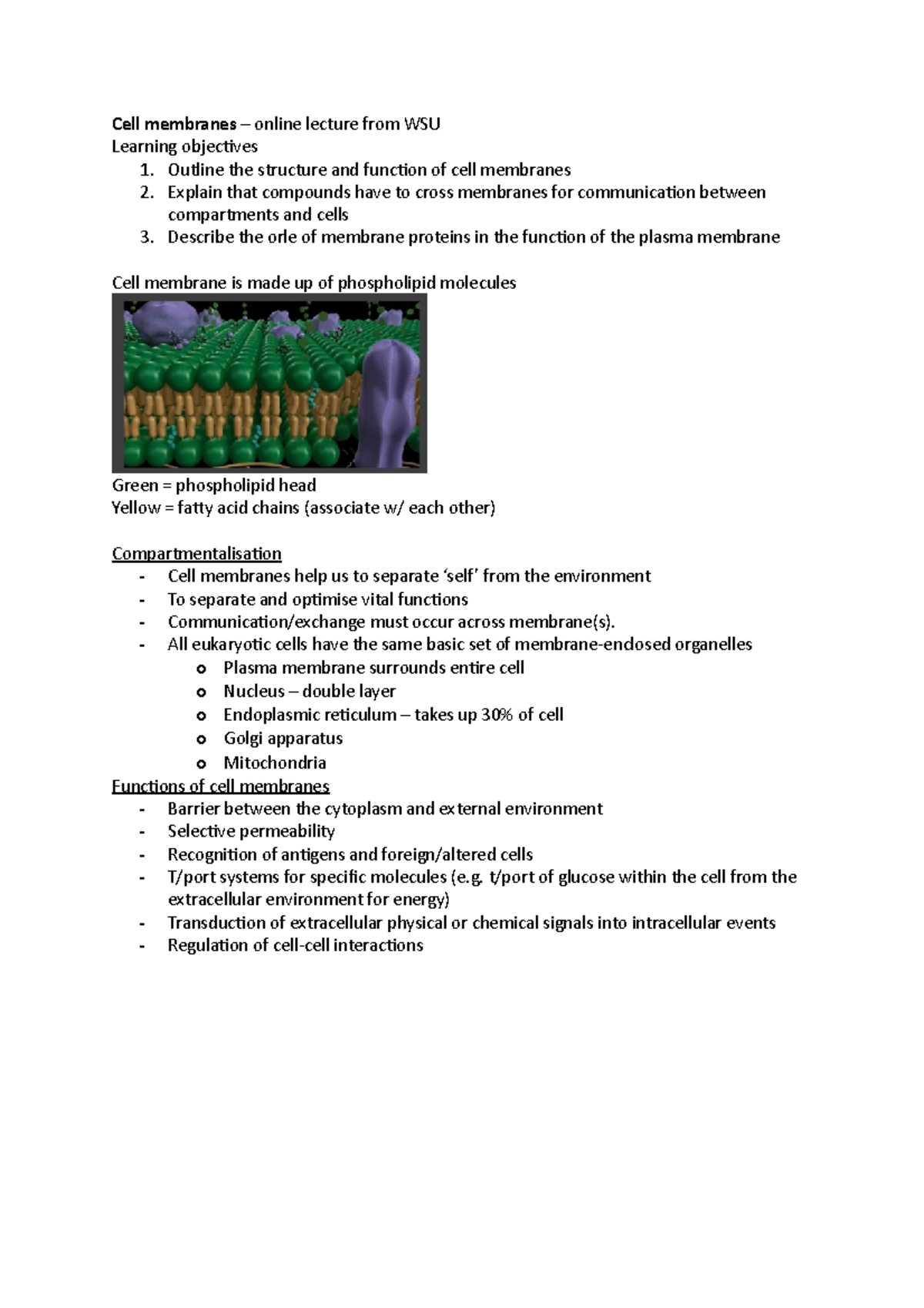 Cell membranes - Lecture notes 1 - Cell membranes – online lecture from ...