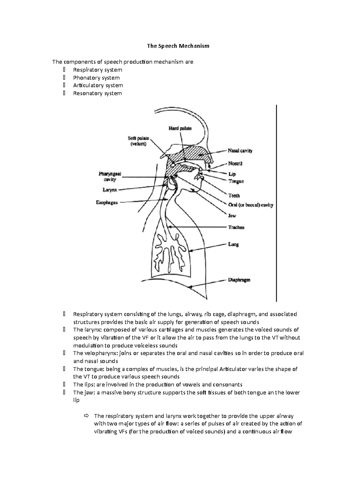 The Speech Mechanism - The basic funtion of the respiratory system is ...