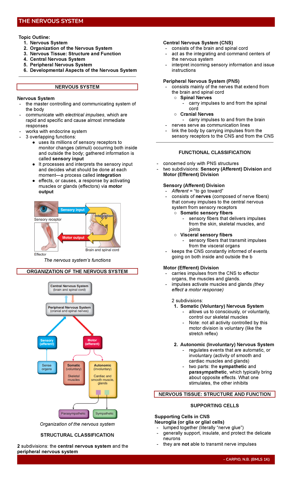 [BIO 101] Nervous System - Topic Outline: 1. Nervous System 2. Organization of the Nervous ...