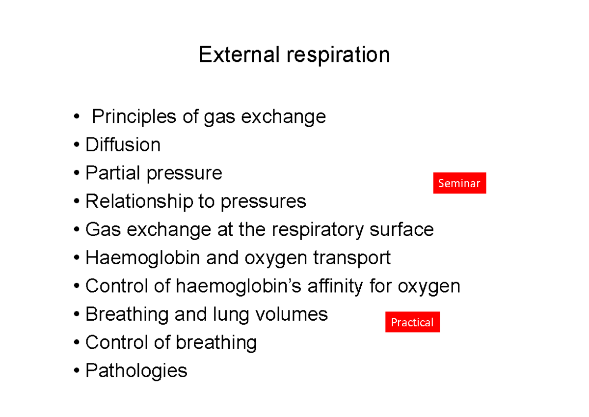 External respiration part1 - External respiration Principles of gas ...