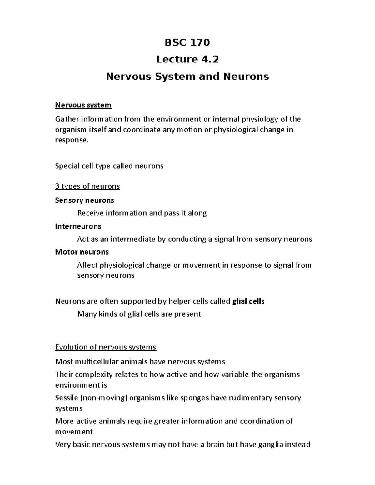 4 2 Nervous System And Neurons Bsc 170 Lecture 4 Nervous System And