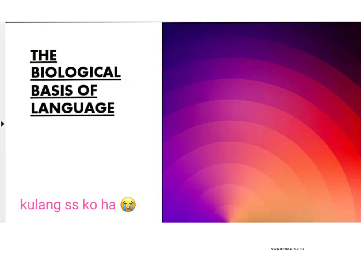 The Biological Basis Of Language BS Psychology Studocu the-biological-basis-of-language-bs-psychology-studocu