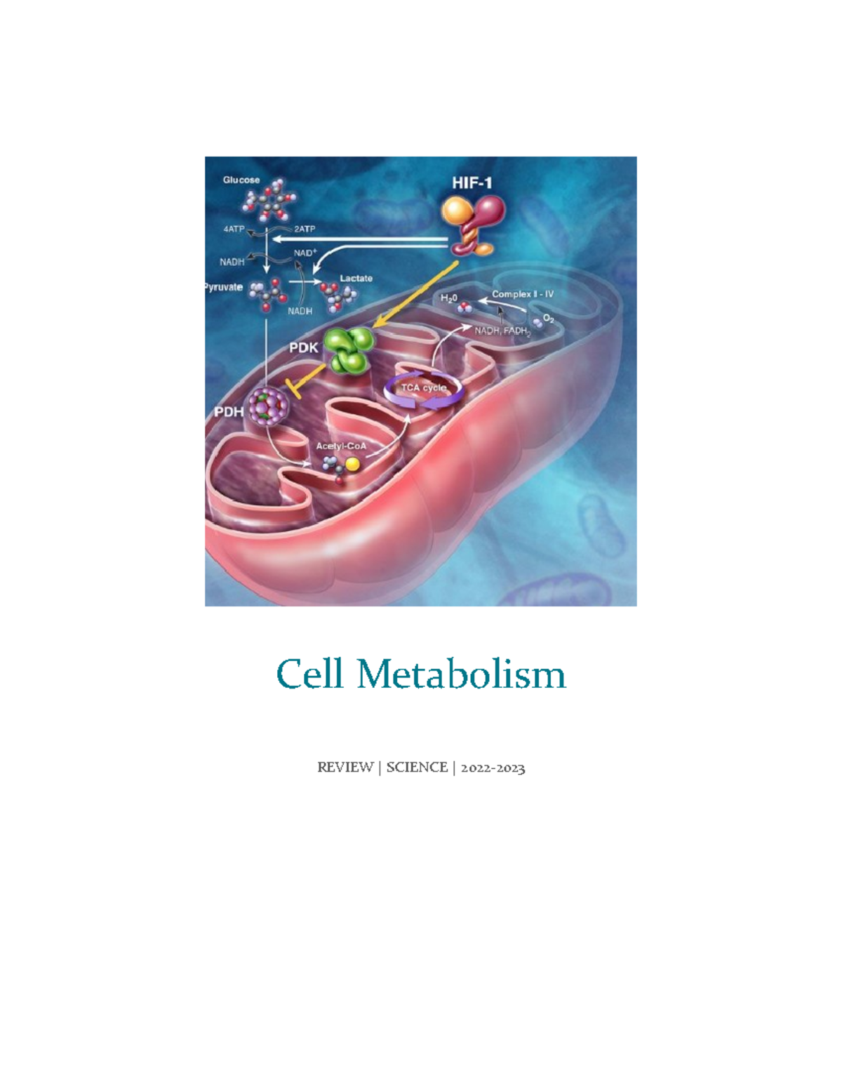 Cell Metabolism Part 6 - Cell Metabolism REVIEW | SCIENCE | 2022- The ...