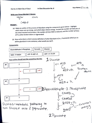 BIO 205 Exam 2 Topics - Bacterial growth – Chap 6 (7 in 10th edition ...