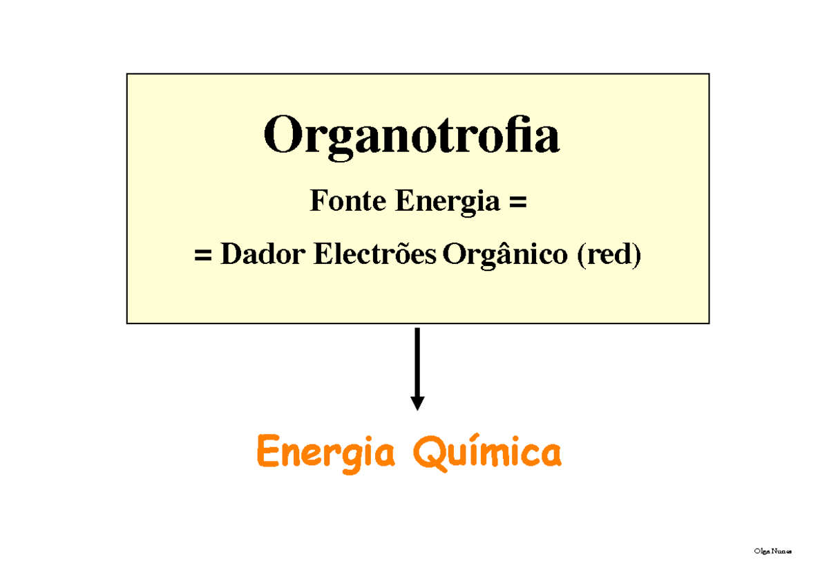 Organotrofia - Microbiologia - Studocu