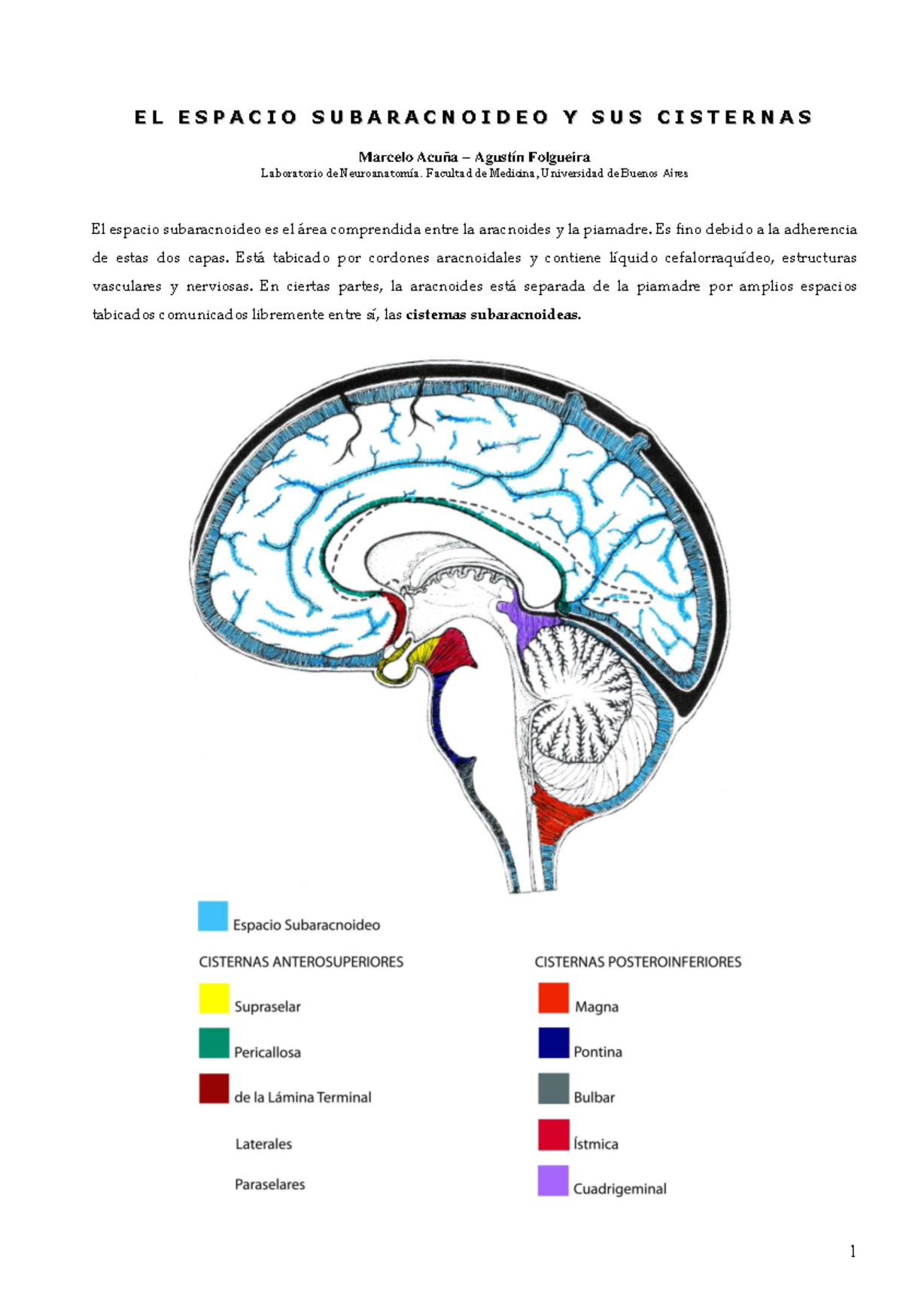 Cisternas subaracnoideas 0 - EELL EESSPPAACCIIOO ...