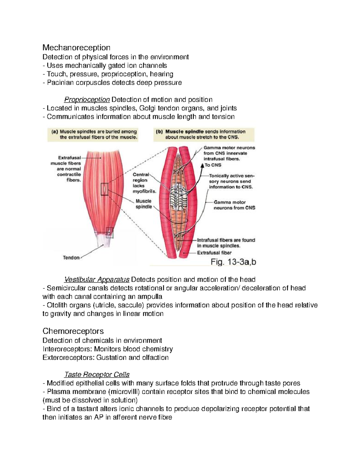 Sensory Specialized Receptors - Mechanoreception Detection of physical ...