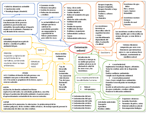 MAPA Sinoptico Capitulo 3 - El rol del director del proyecto El ...