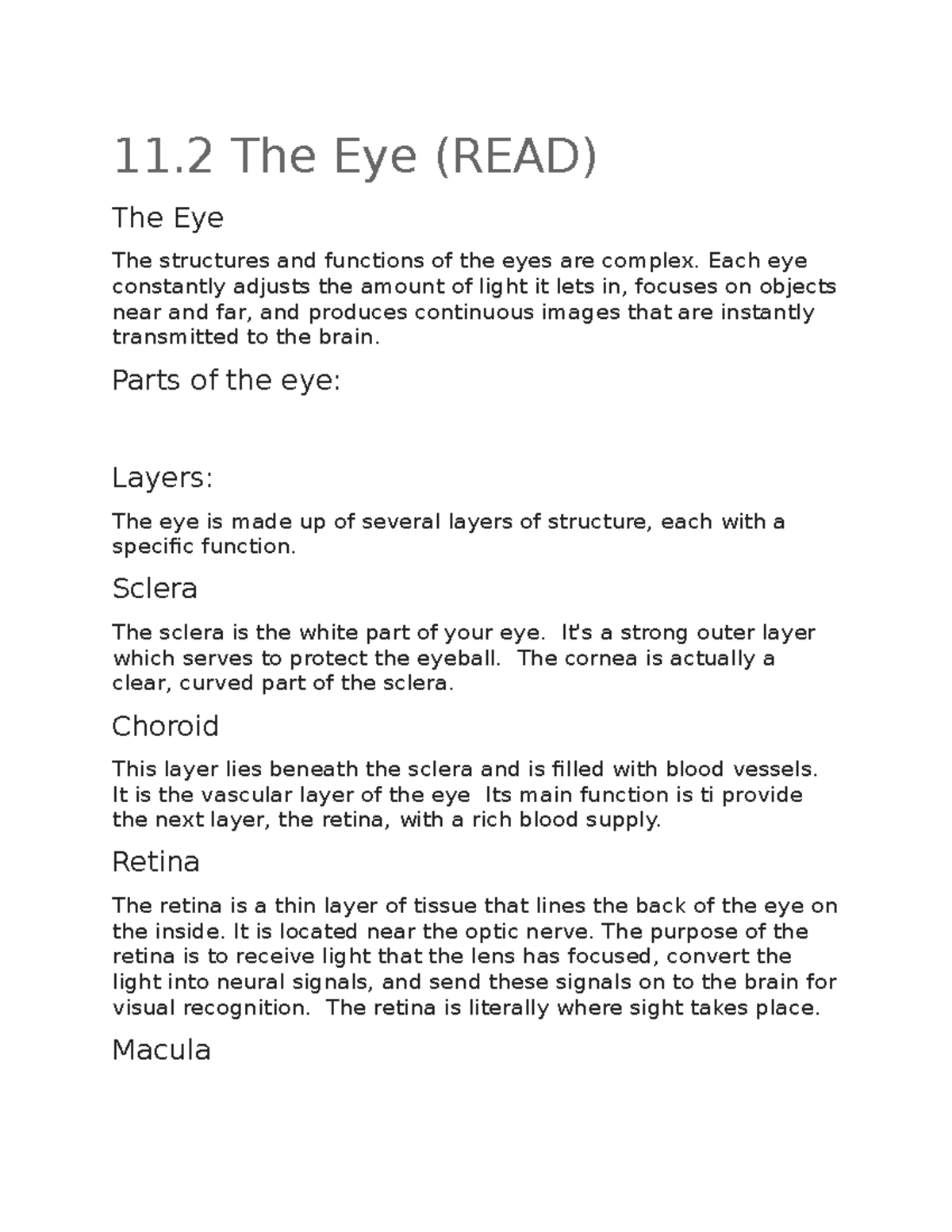 Quiz 11 Info Exam Notes 11 The Eye READ The Eye The Structures