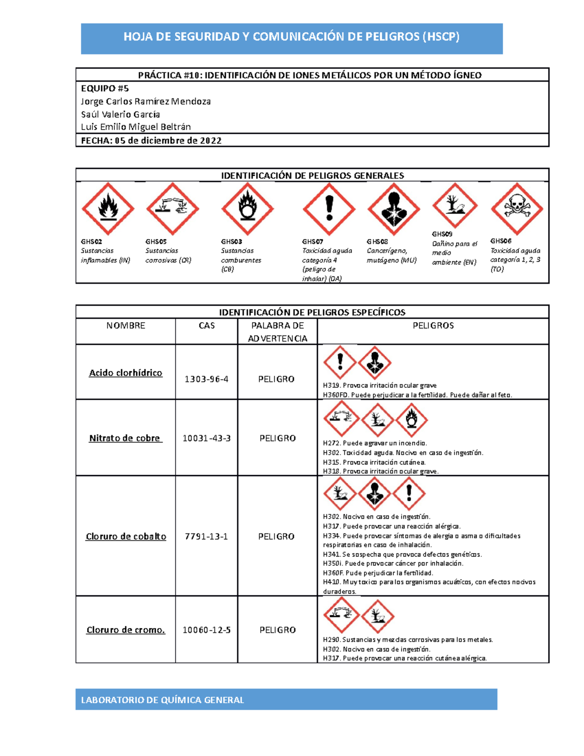 Hojas Seguridad P 10 - PRÁCTICA #10: IDENTIFICACIÓN DE IONES METÁLICOS ...