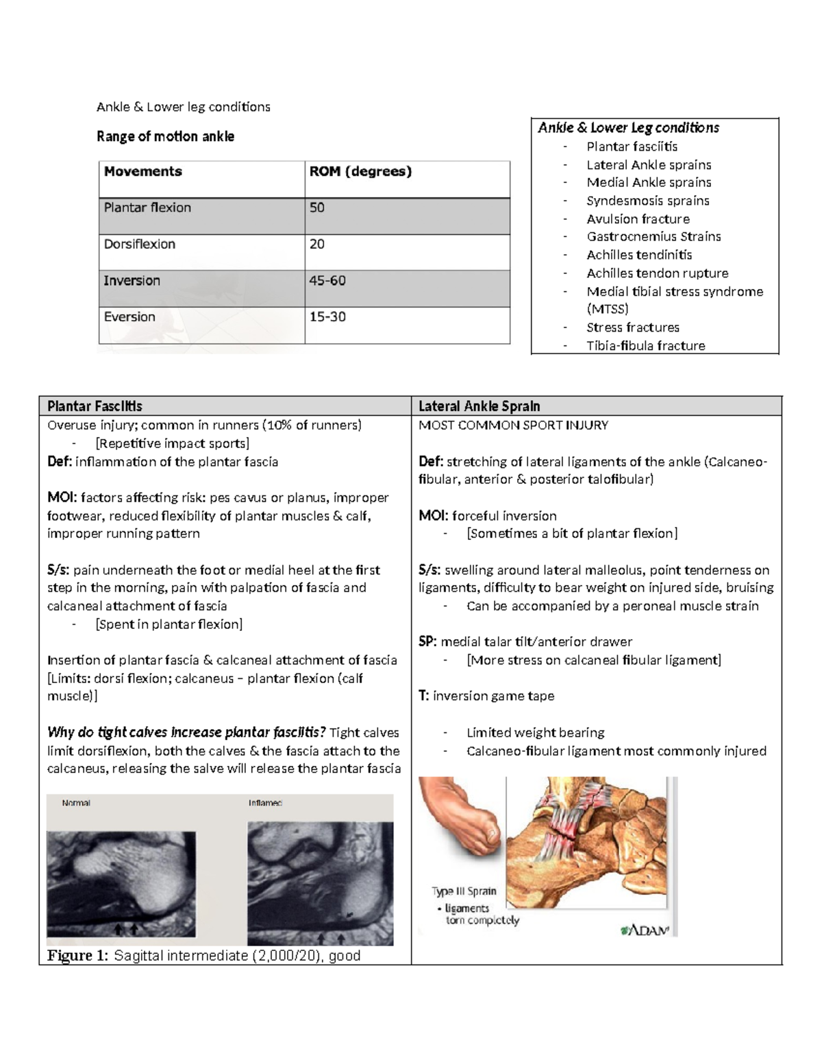 Ankle Injuries and Prevention - Ankle & Lower leg conditions Range of ...