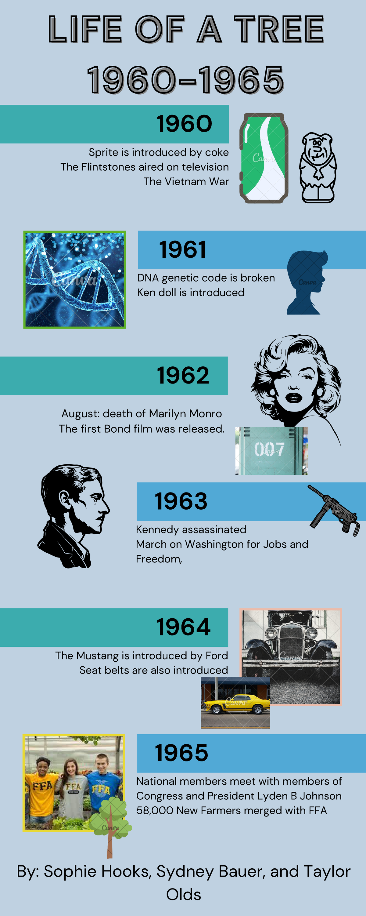 Colorful Professional Chronological Timeline Infographic - LIFE OF A ...