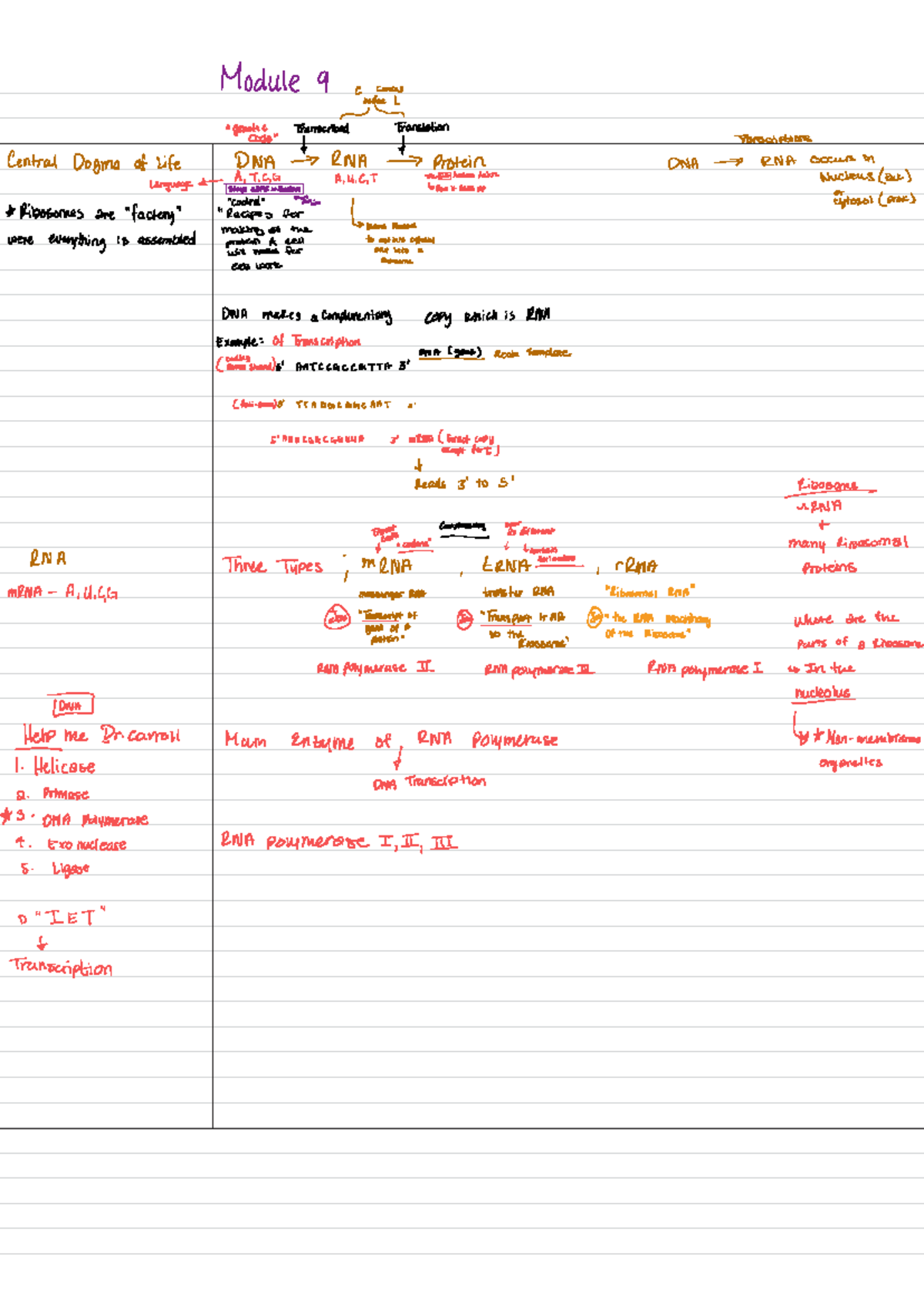 Module 9 Notes - Module 9 a comes before I - "genetic code" Transcribed ...