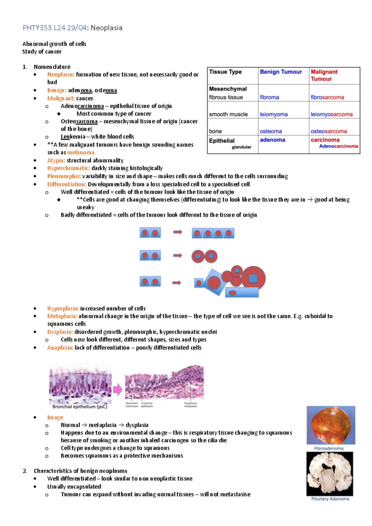 Pathology for Physiotherapy Lecture 24 - Warning: TT: undefined ...