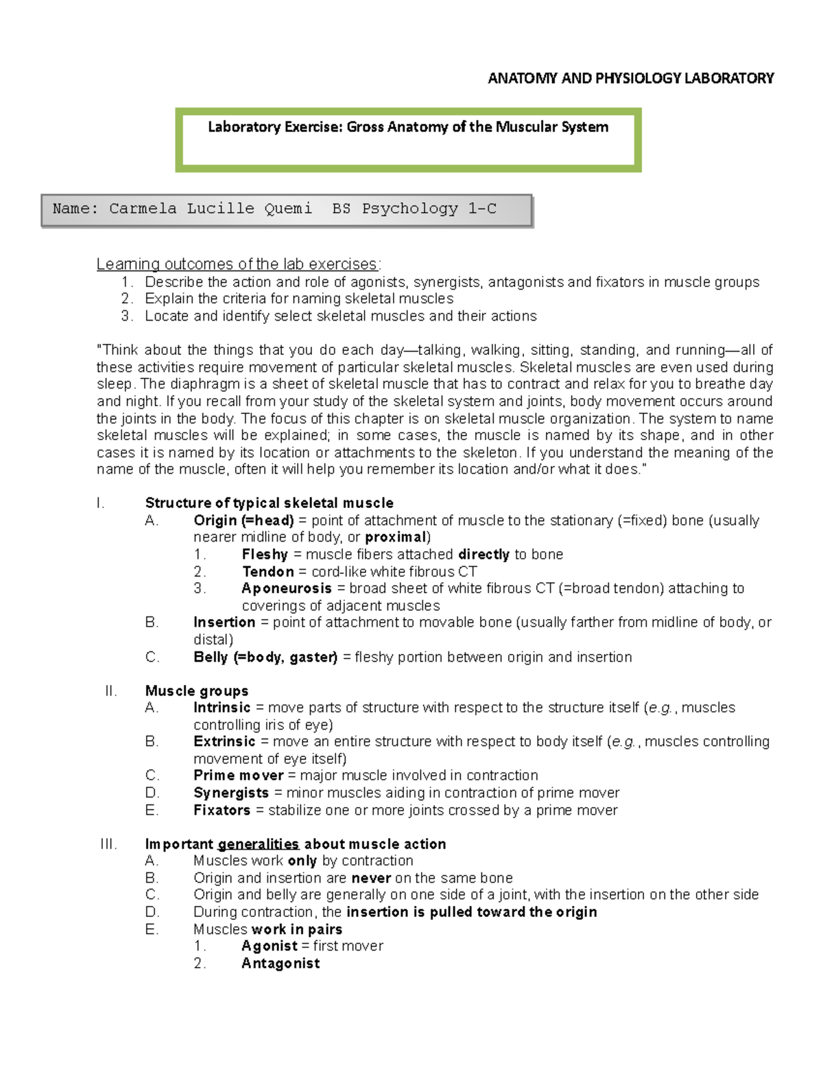 Muscular-System - hehe - Learning outcomes of the lab exercises ...