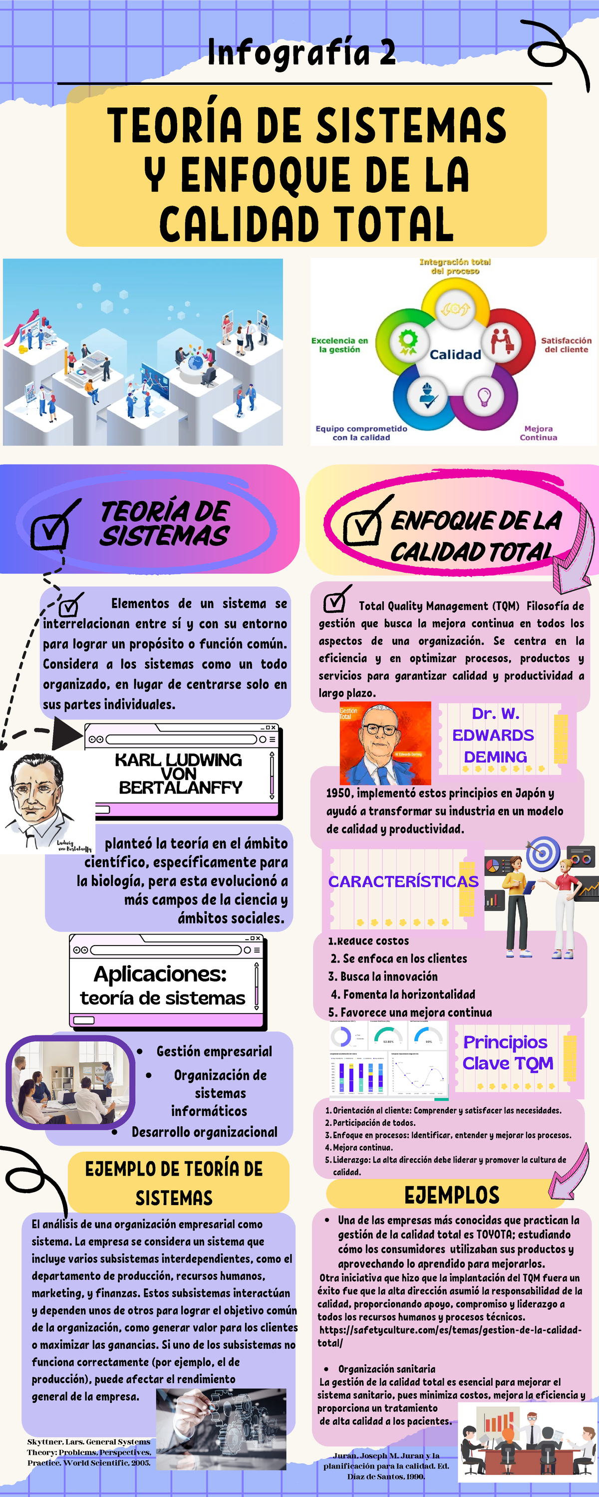 Infografia Teoria DE Sistema Y Enfoque DE Calidad Total - Elementos de un sistema se ...